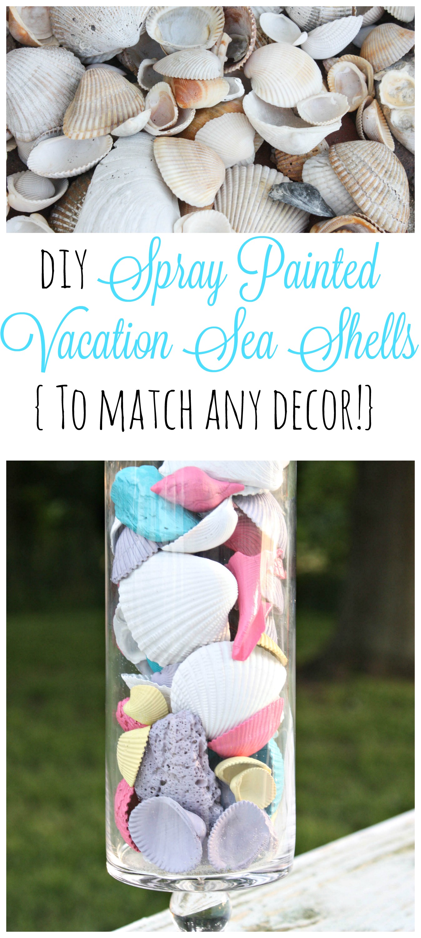 Spray Painted Vacation Sea Shells - Re-Fabbed