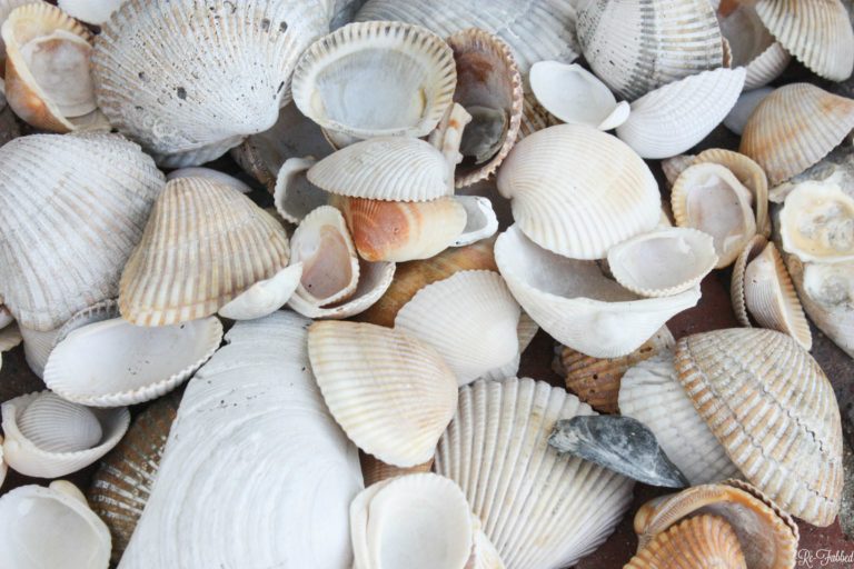 Spray Painted Vacation Sea Shells - Re-Fabbed