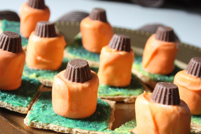 Easy Pumpkin S'mores - Re-Fabbed