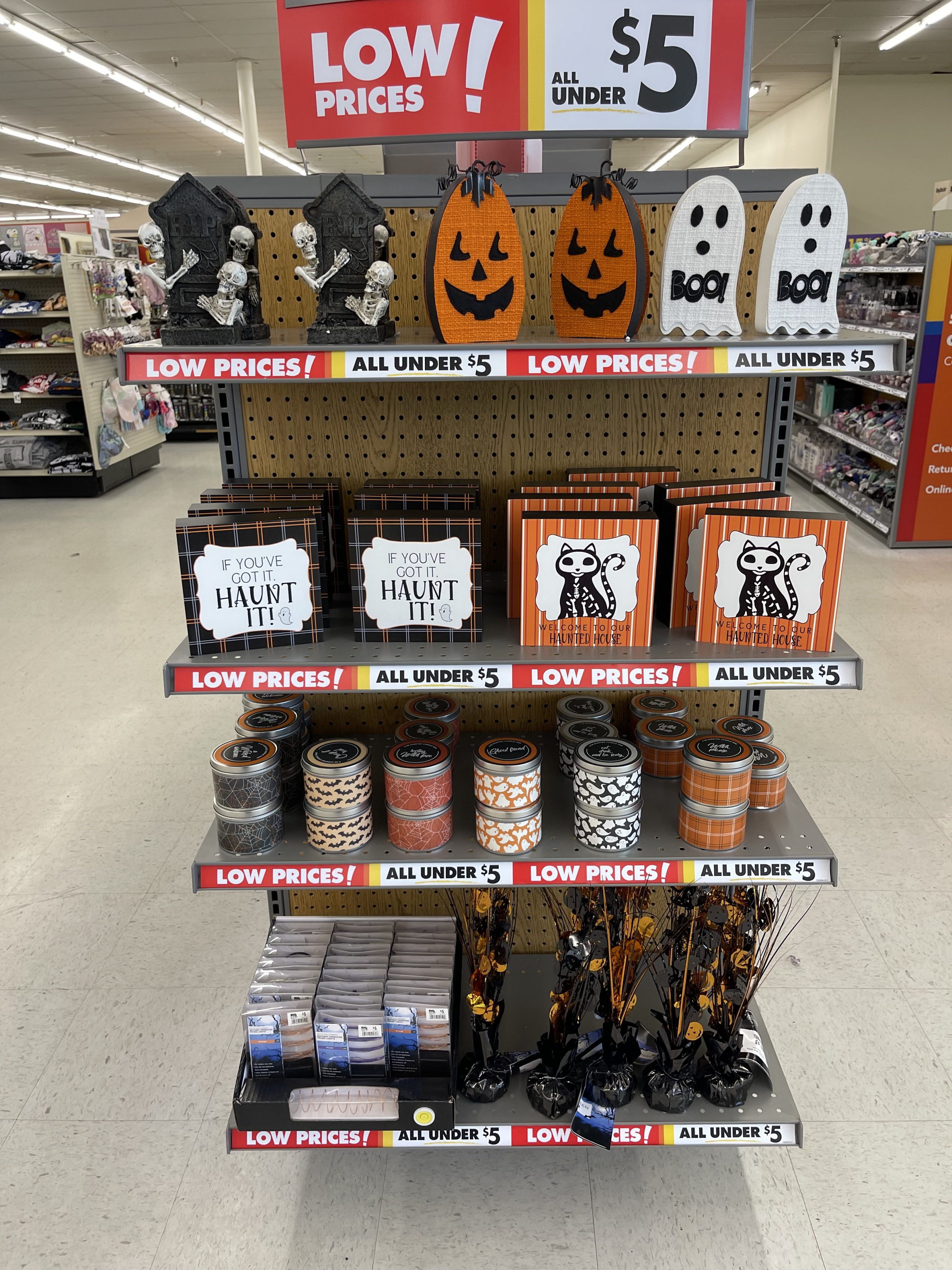 fall decor finds at big lots - Re-Fabbed