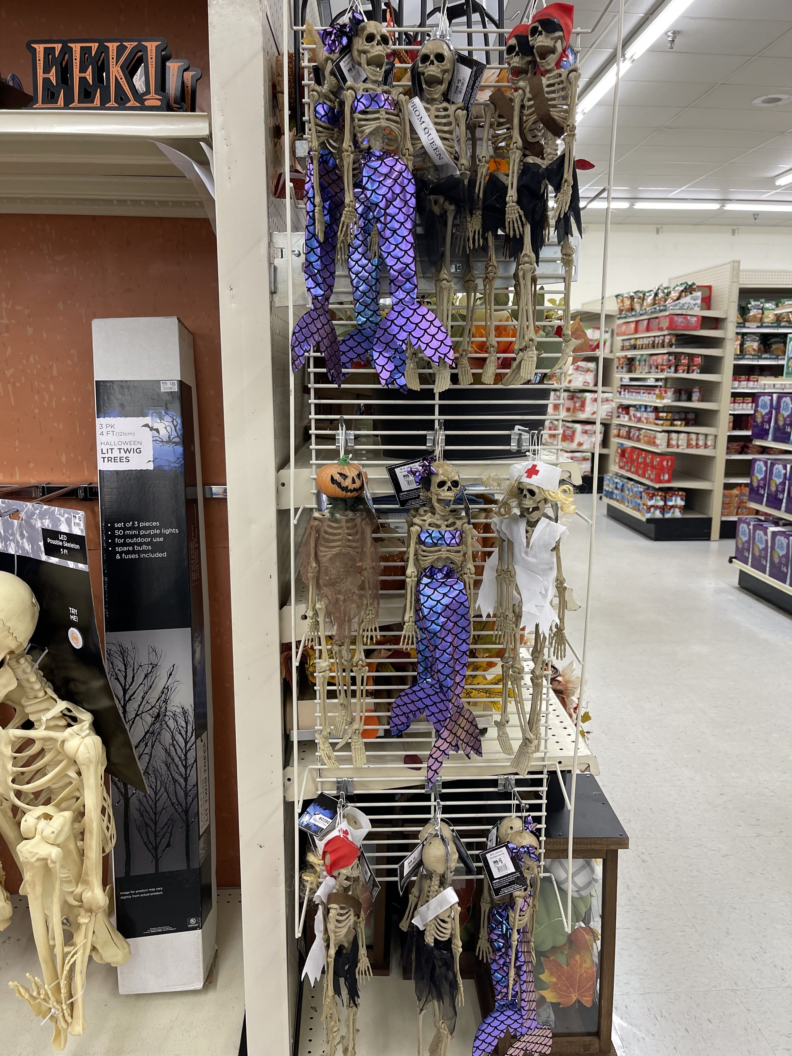 fall decor finds at big lots - Re-Fabbed