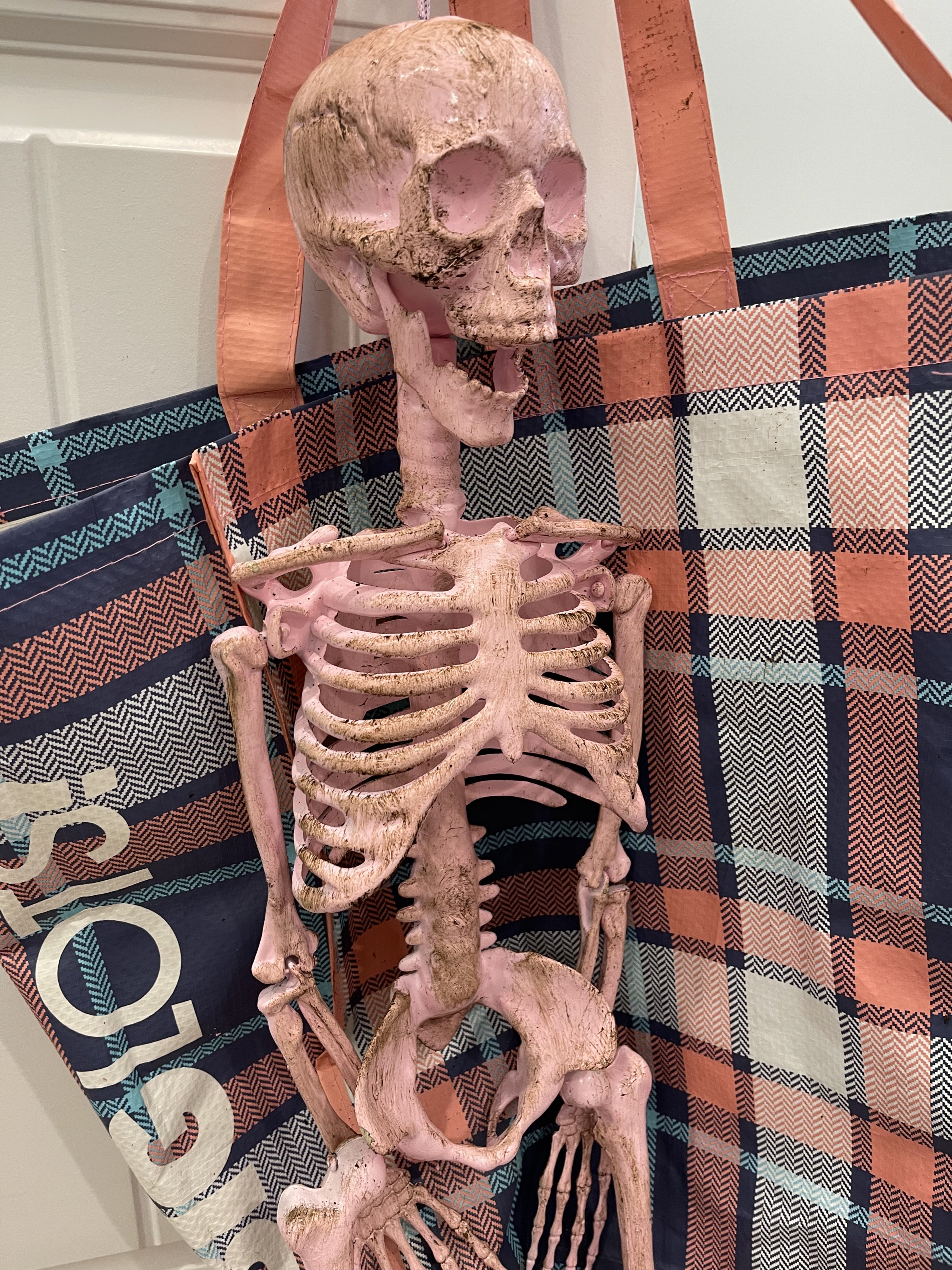 spray paint a skeleton - Re-Fabbed