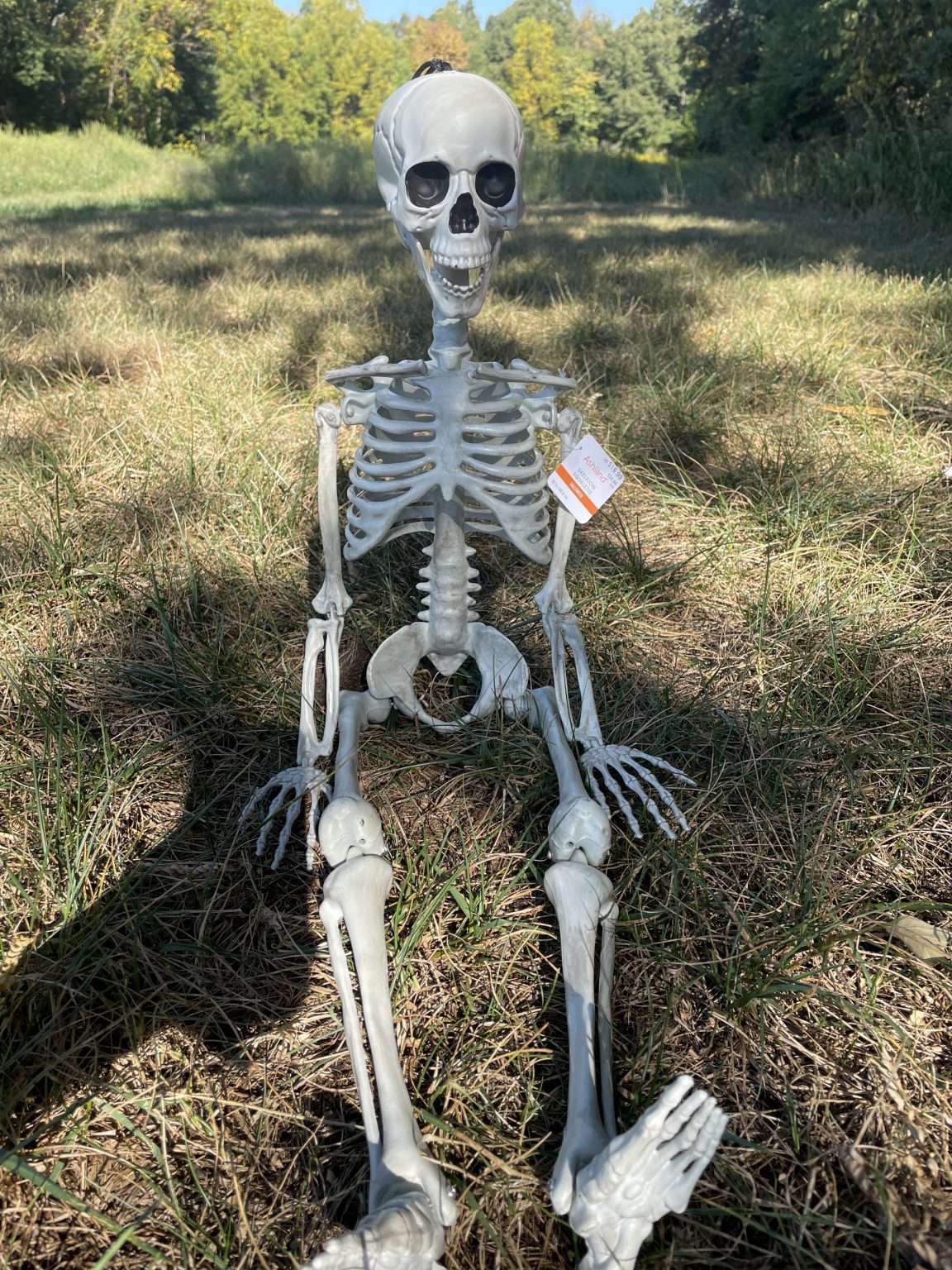 spray paint a skeleton - Re-Fabbed