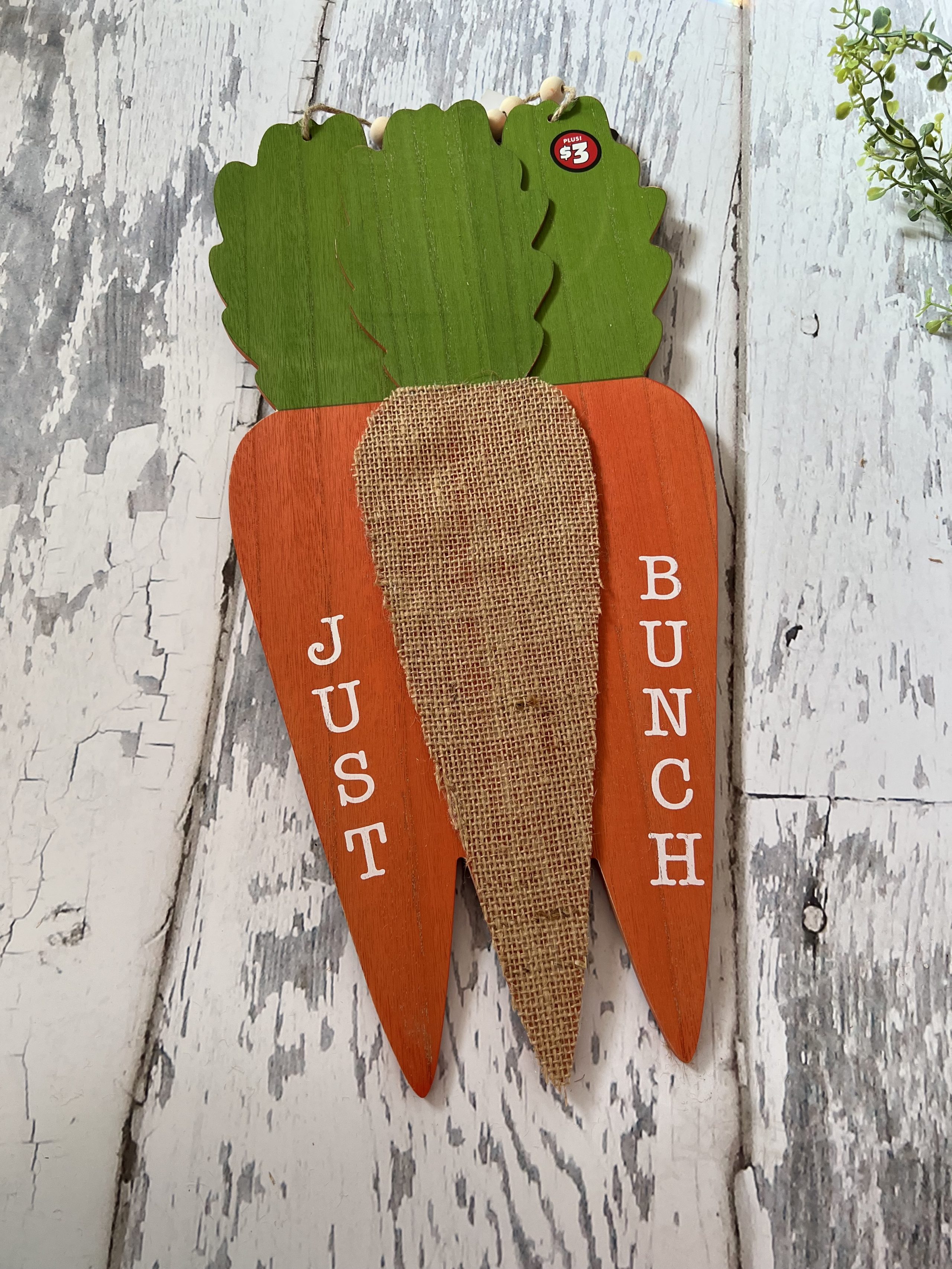 diy dollar tree carrot makeover - Re-Fabbed