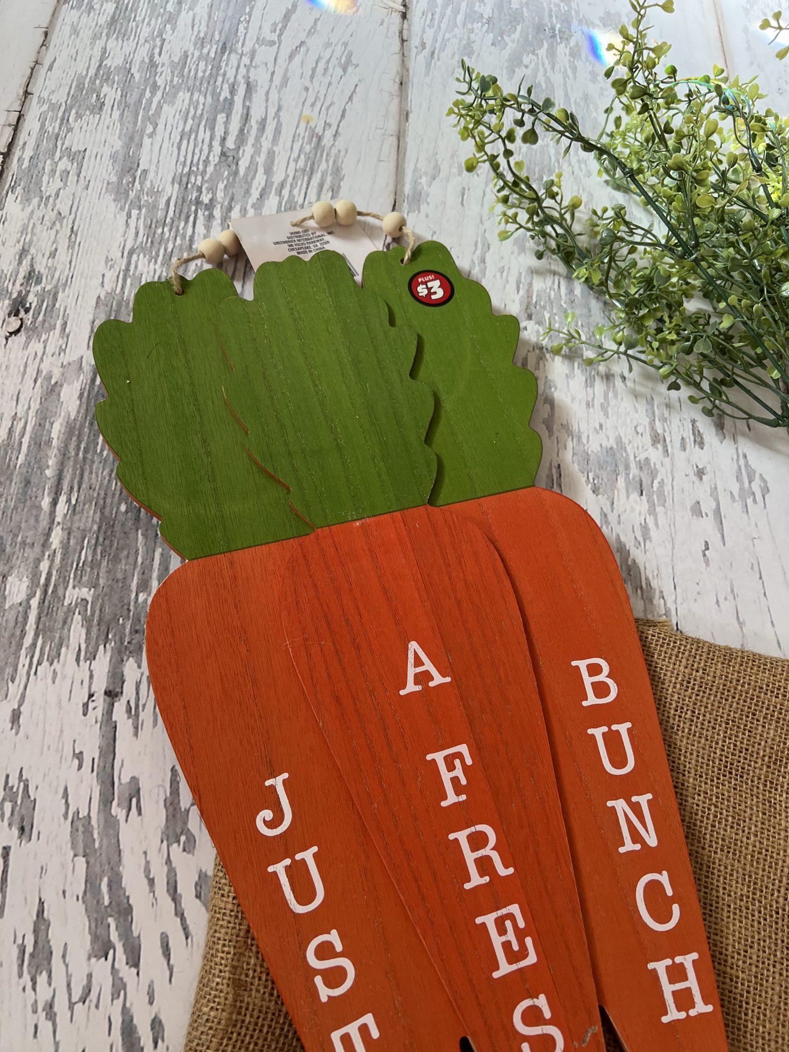 diy dollar tree carrot makeover - Re-Fabbed
