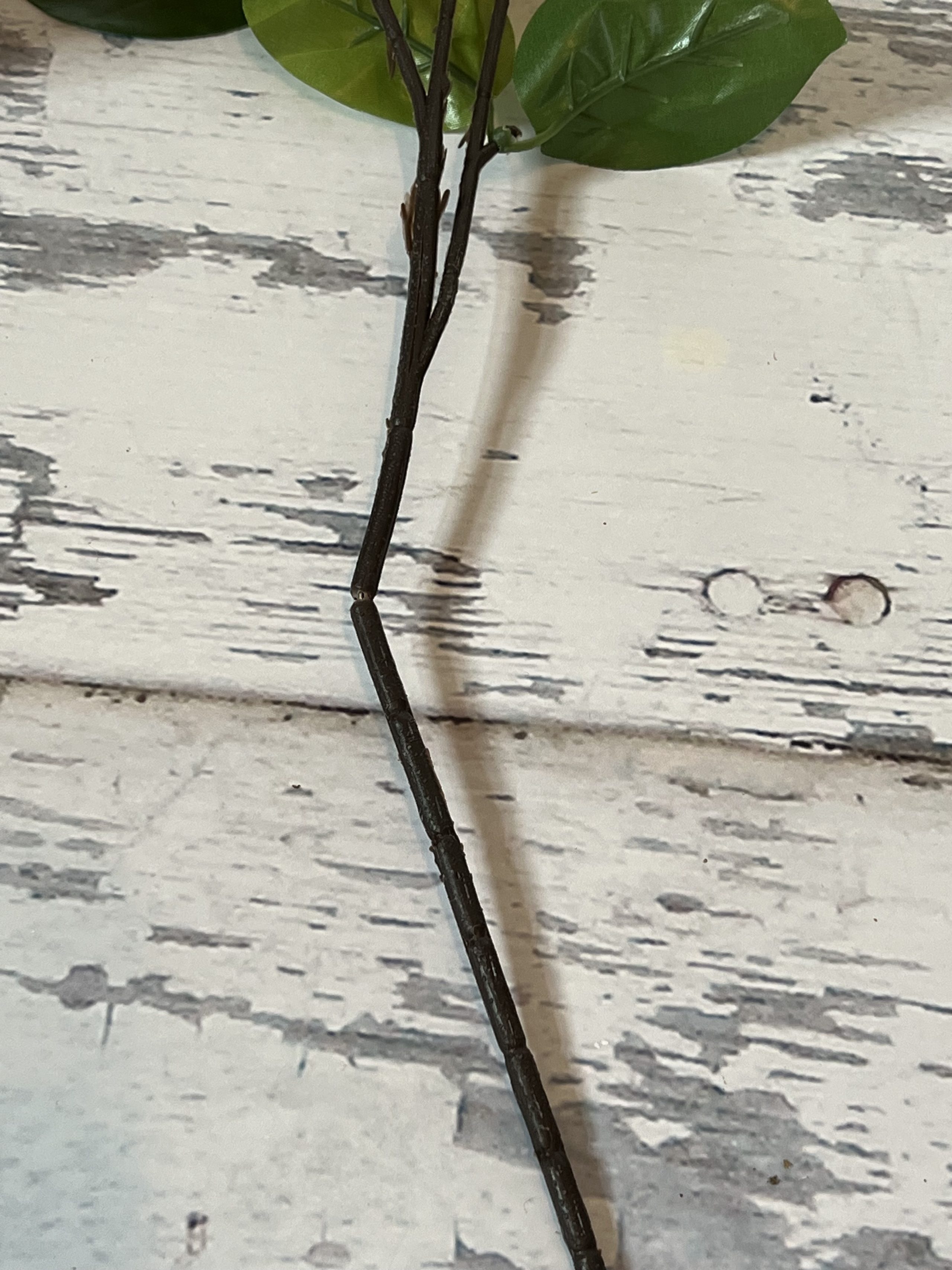 diy lemon tree - Re-Fabbed