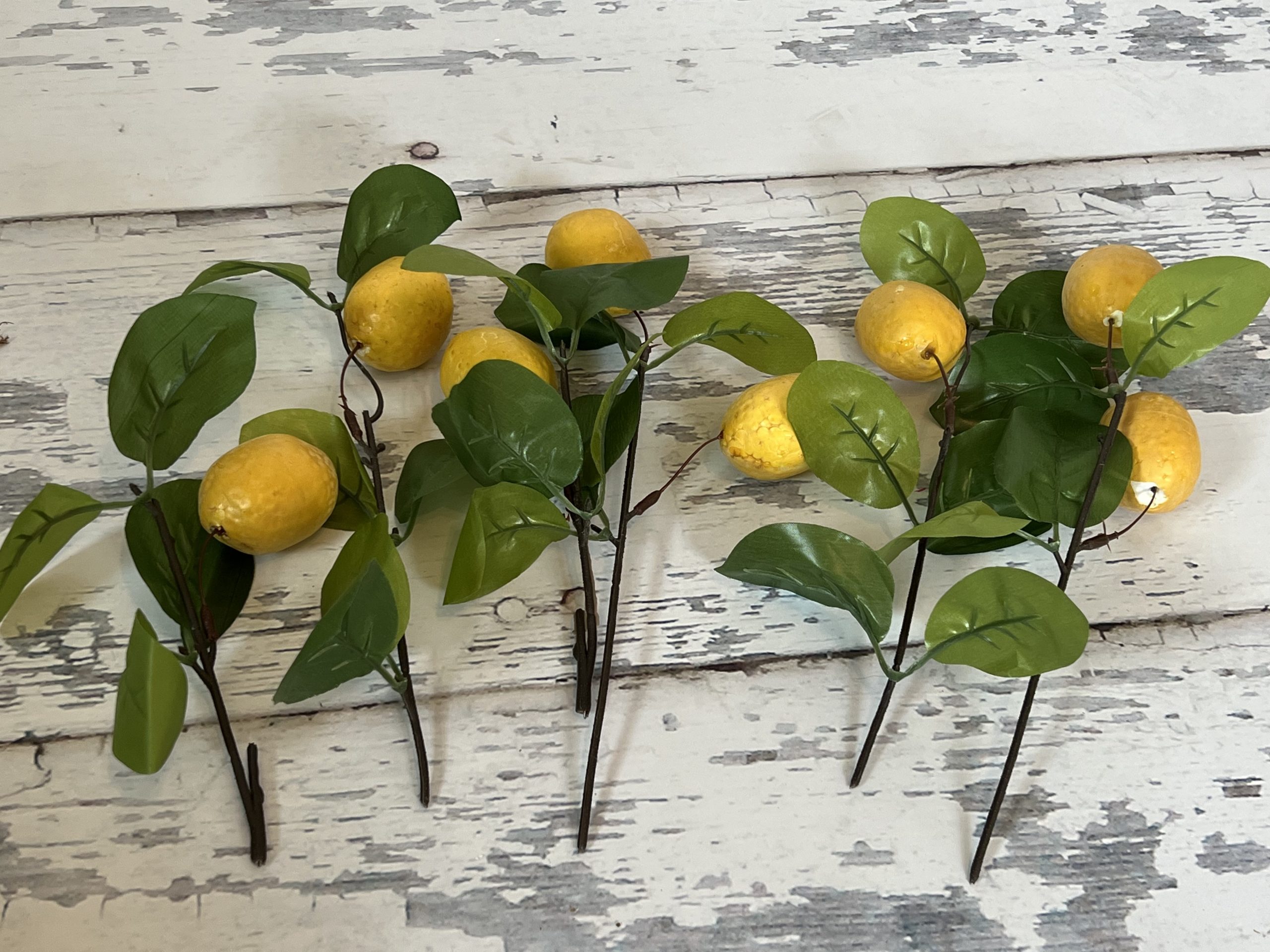 diy lemon tree - Re-Fabbed