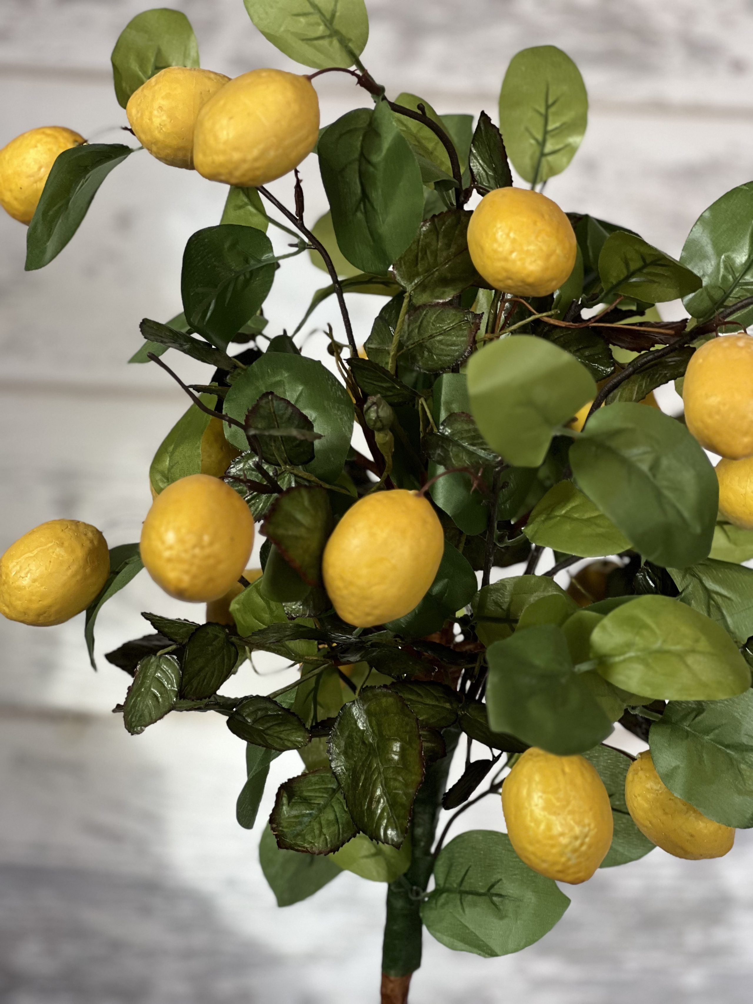 diy lemon tree - Re-Fabbed