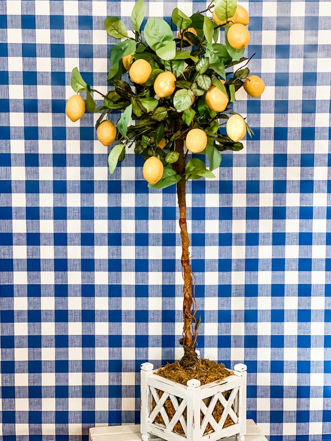 diy lemon tree - Re-Fabbed