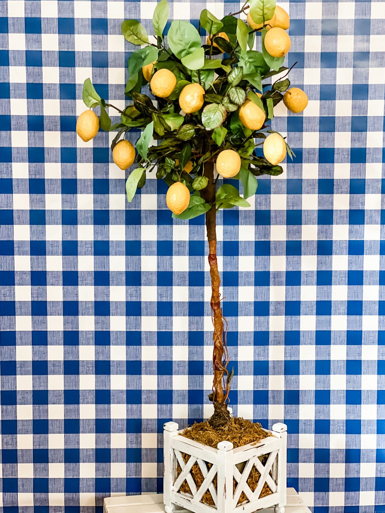 diy lemon tree - Re-Fabbed