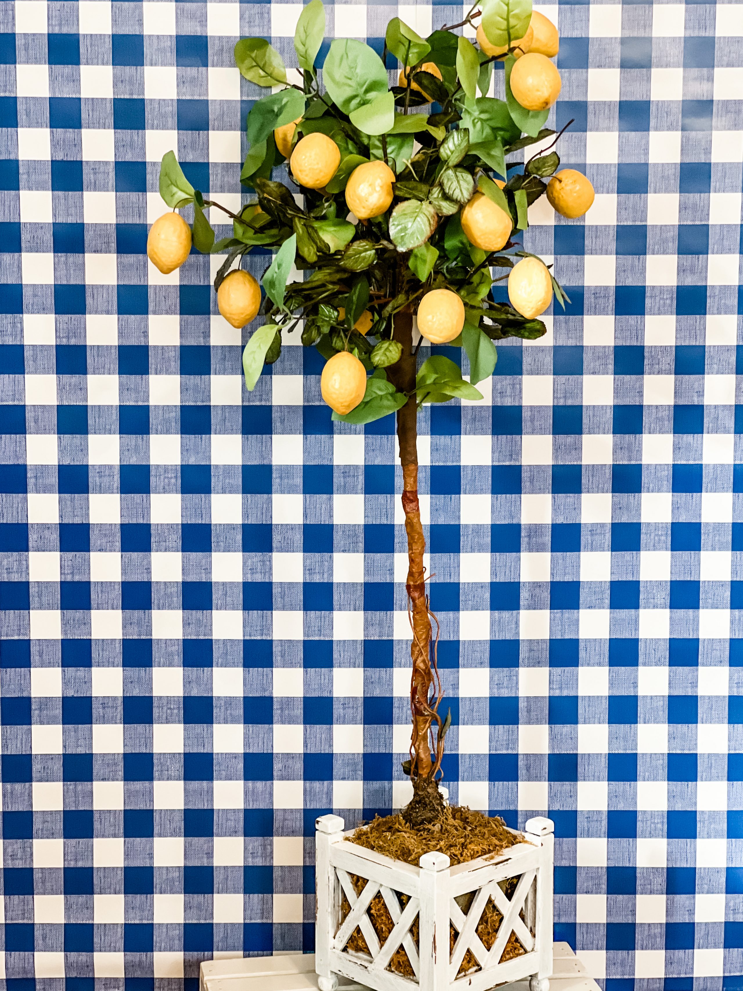 diy lemon tree - Re-Fabbed