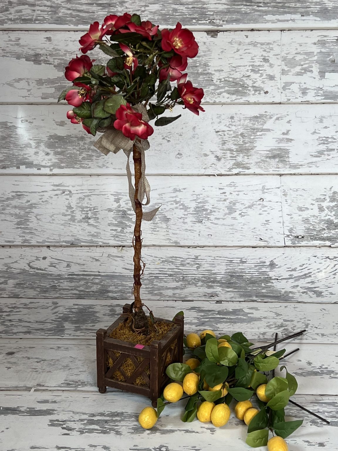 diy lemon tree - Re-Fabbed