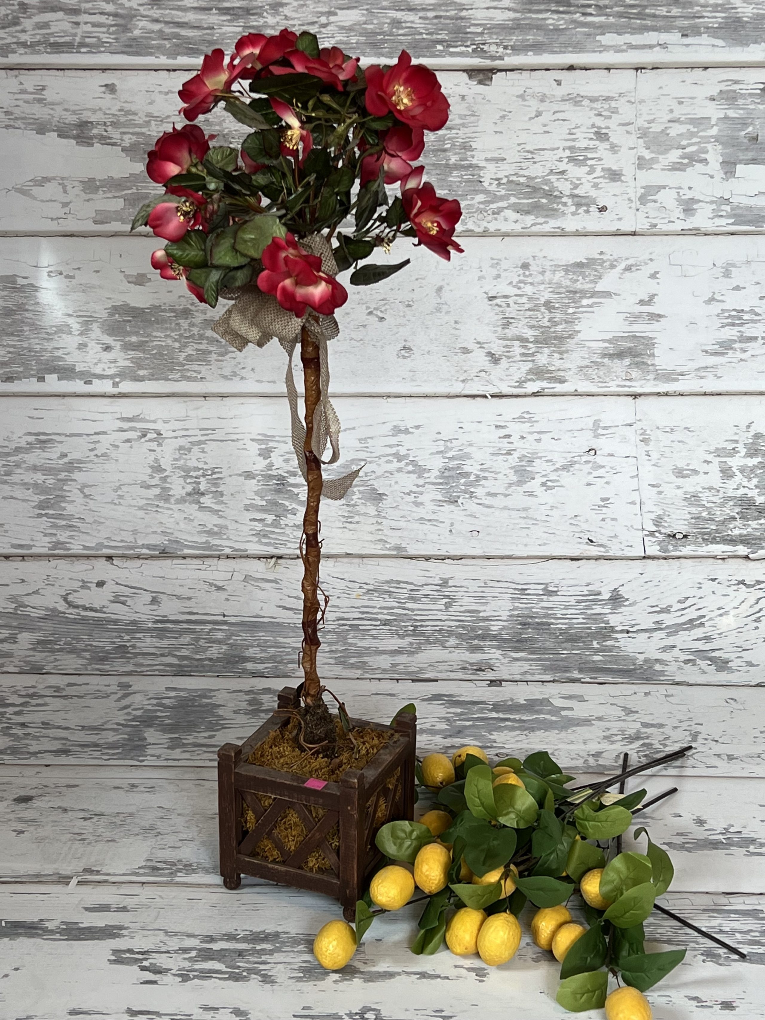 diy lemon tree - Re-Fabbed