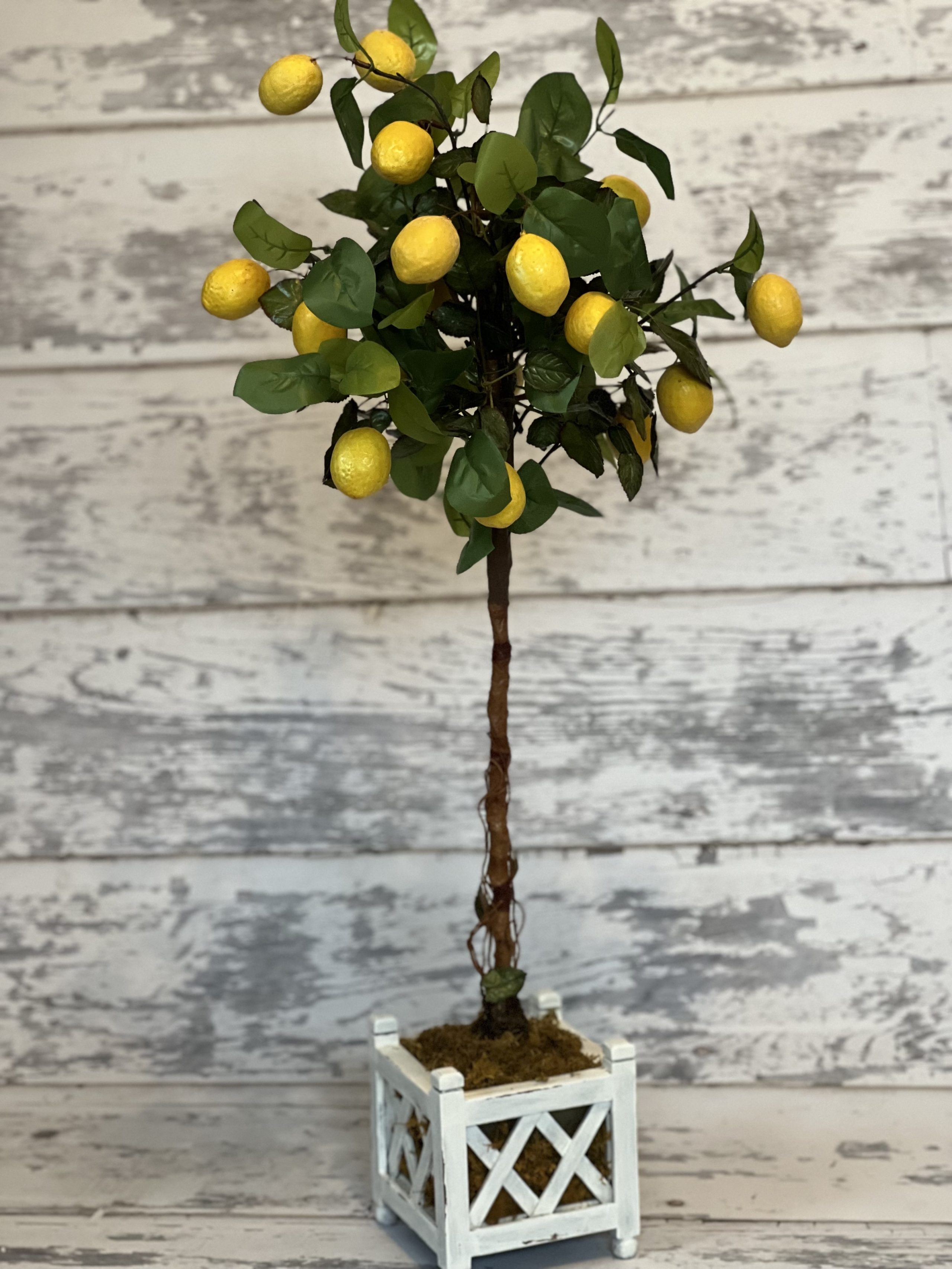 diy lemon tree - Re-Fabbed