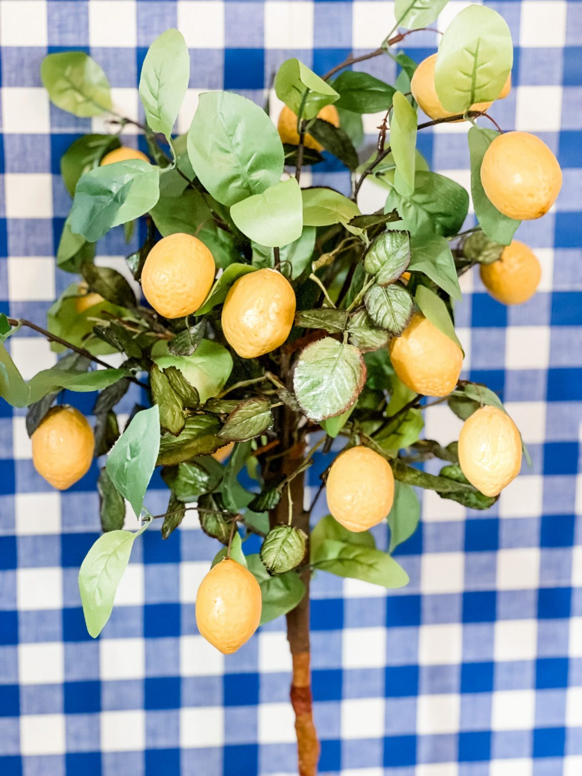 diy lemon tree - Re-Fabbed