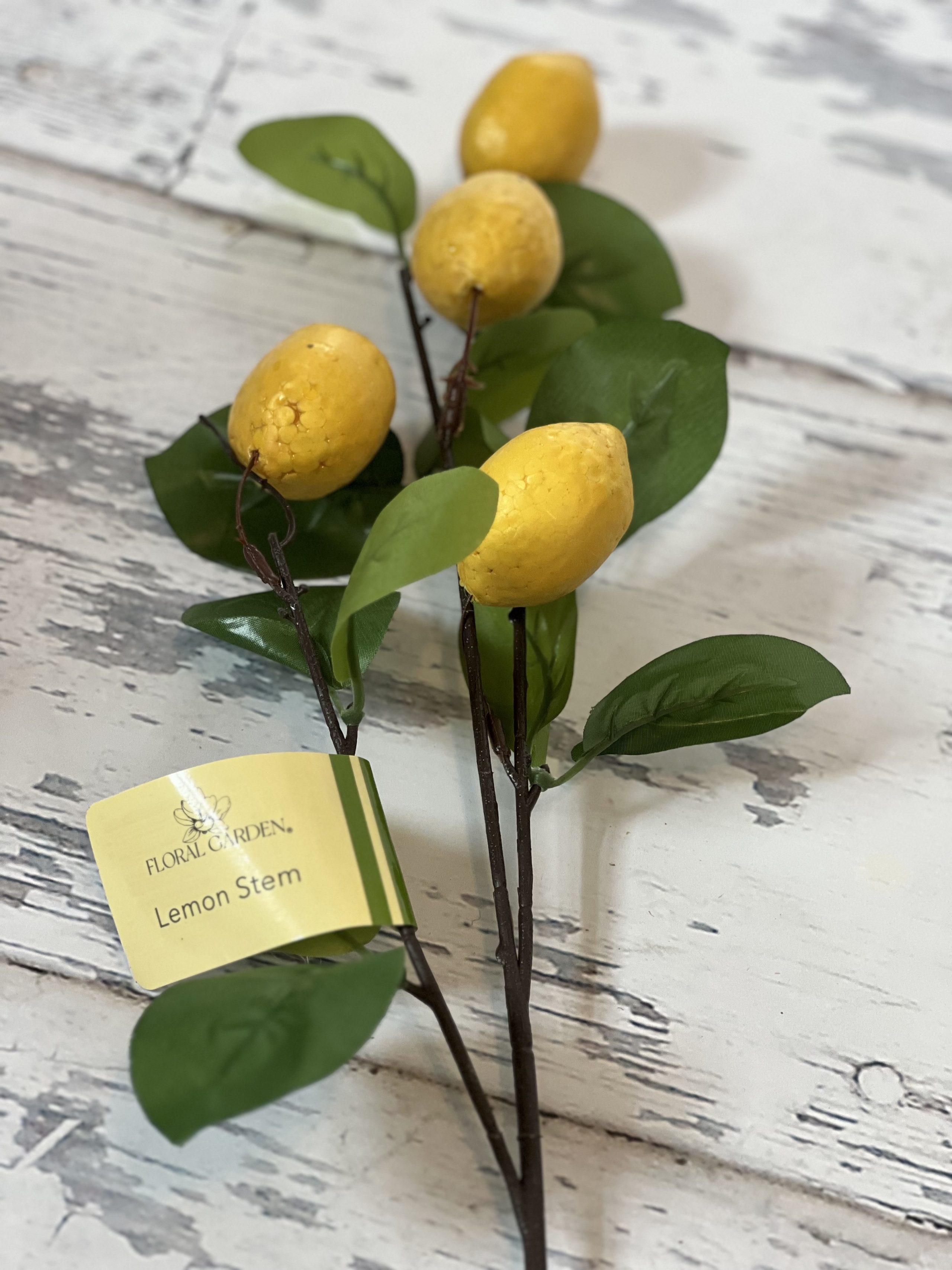 diy lemon tree - Re-Fabbed