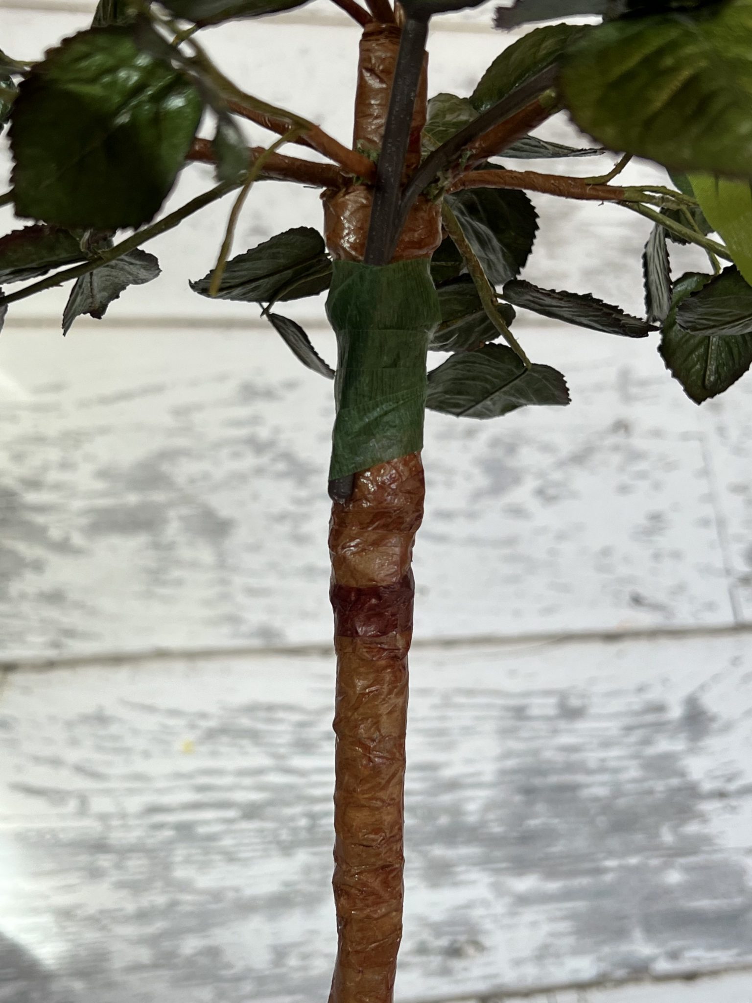 diy lemon tree - Re-Fabbed