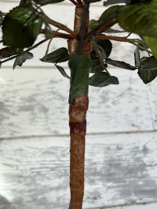 diy lemon tree - Re-Fabbed