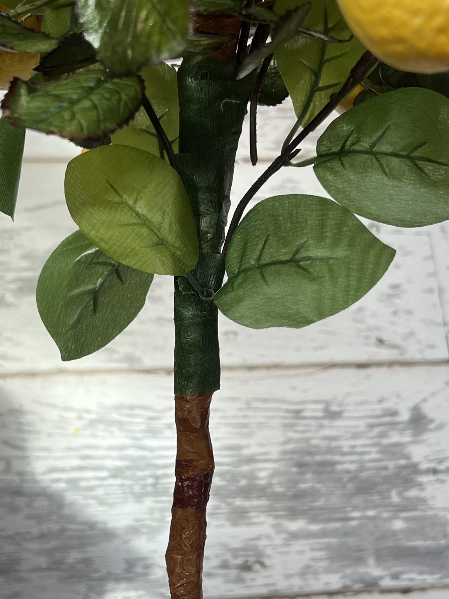 diy lemon tree - Re-Fabbed