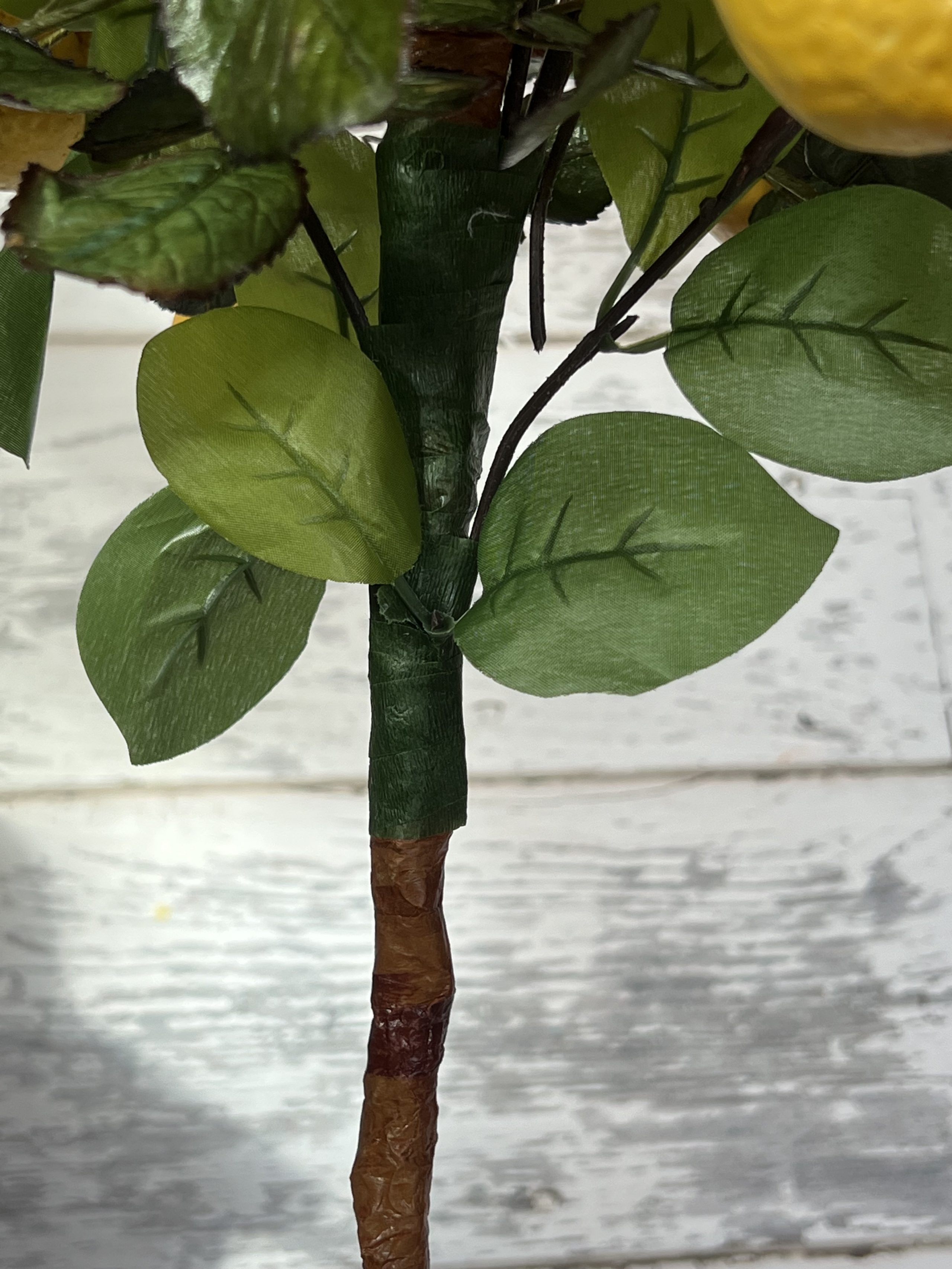 diy lemon tree - Re-Fabbed