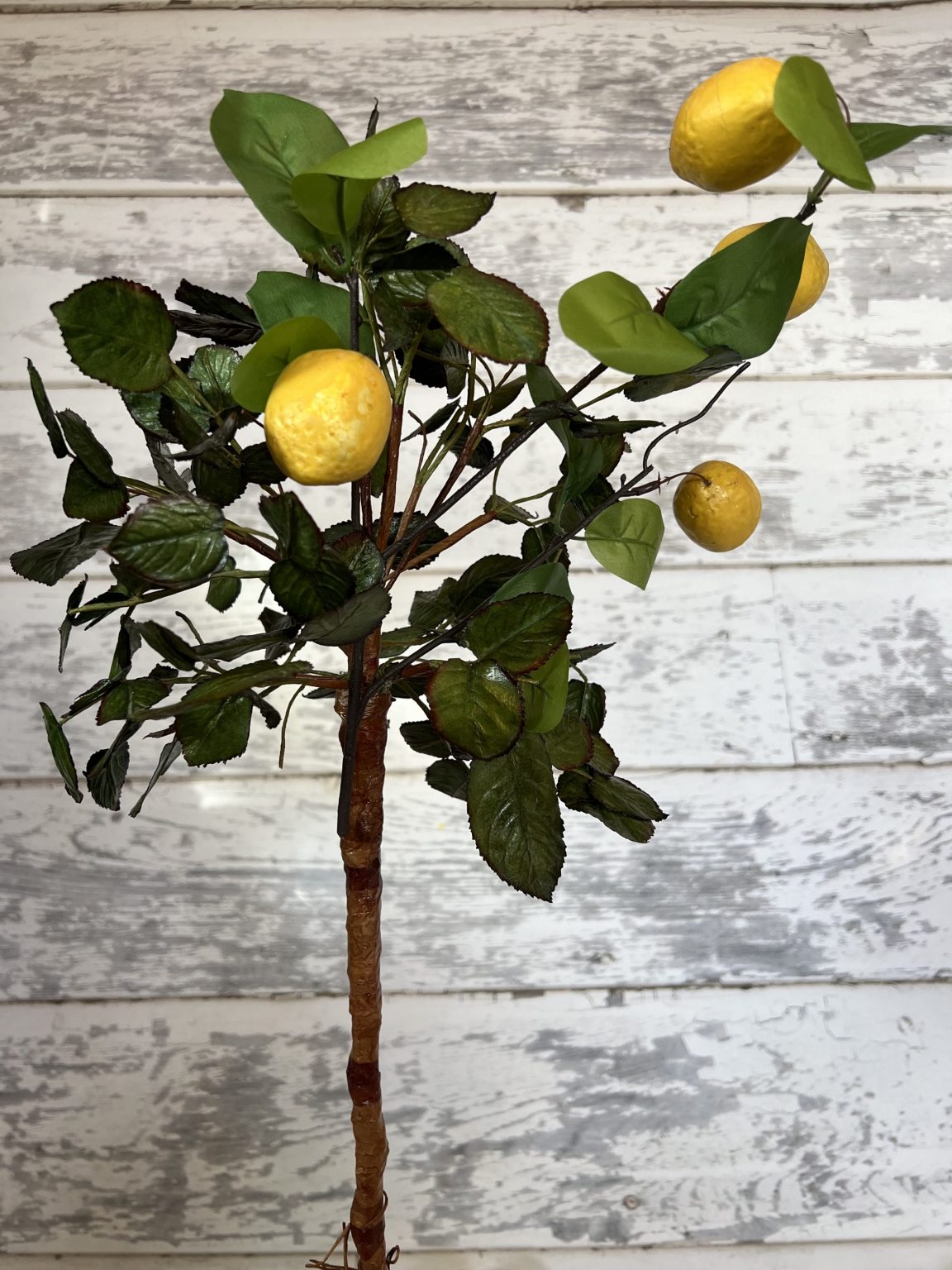 diy lemon tree - Re-Fabbed