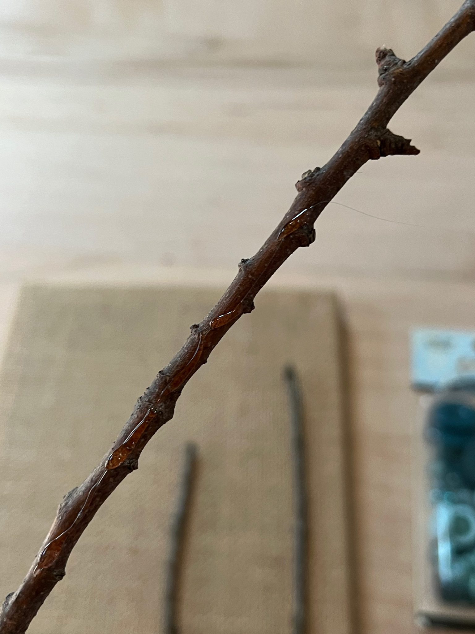 how to make christmas trees with buttons - Re-Fabbed