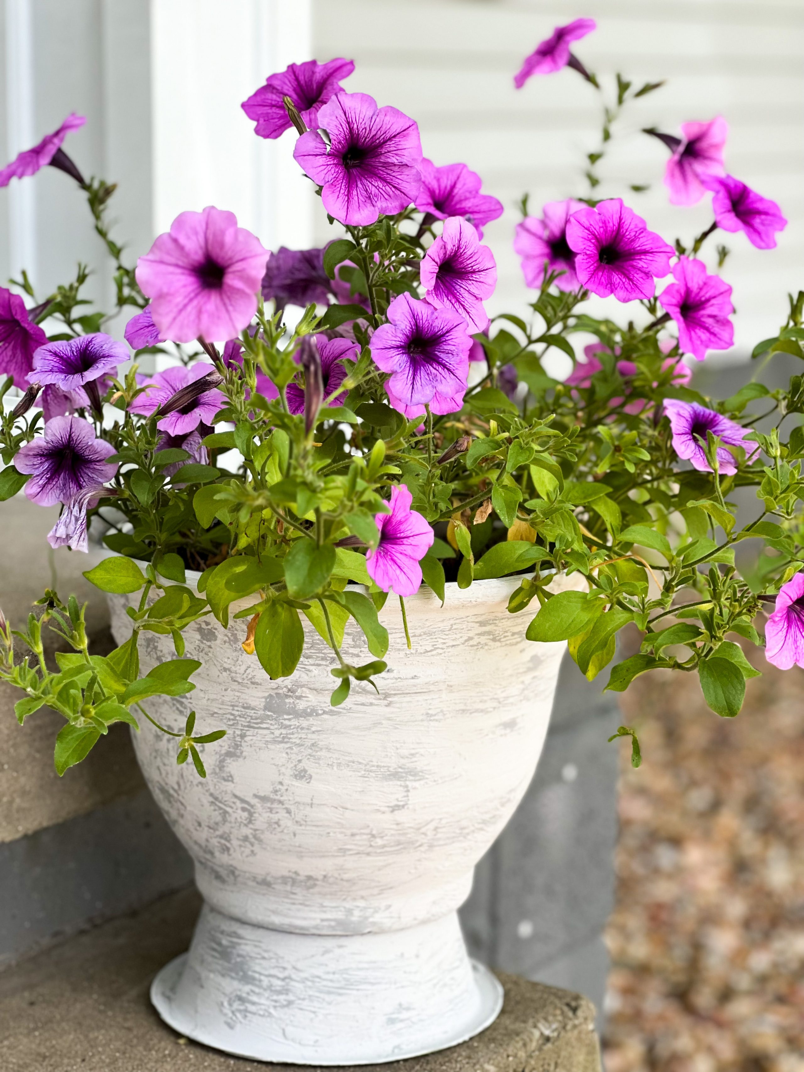 how to make a diy faux concrete planter - Re-Fabbed