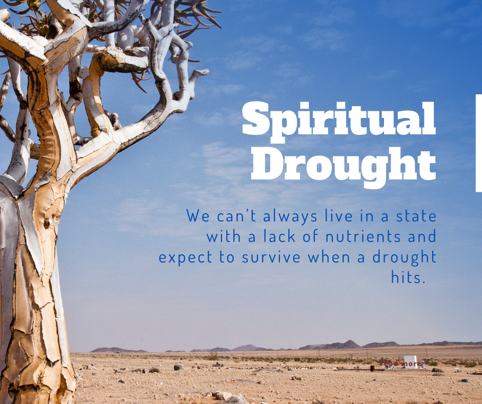 dry season - Re-Fabbed