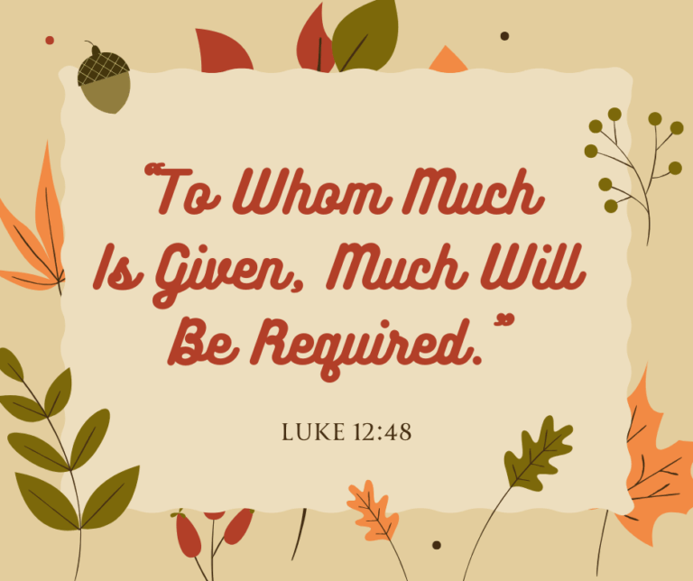 Re-Fabbed with Brooke Riley - Re-Fabbed